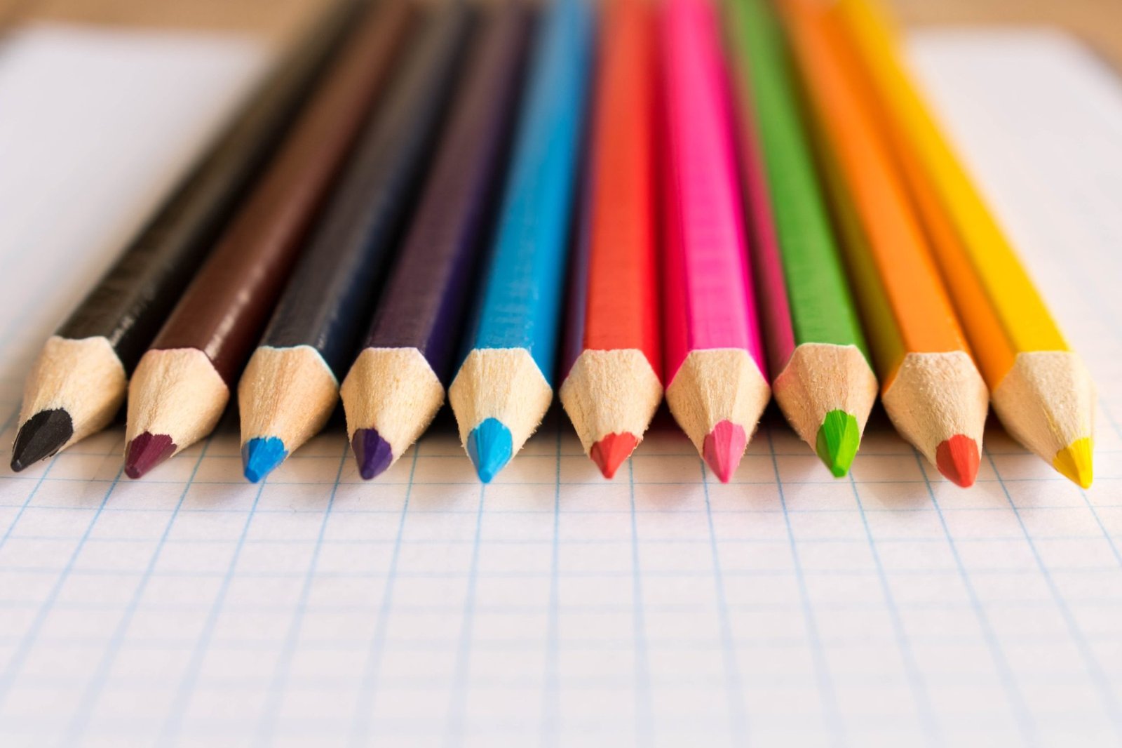 Get Paid to Color: 21 Ways to Profit from Your Artistic Skills